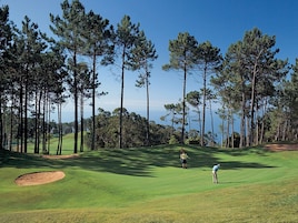 Golfe