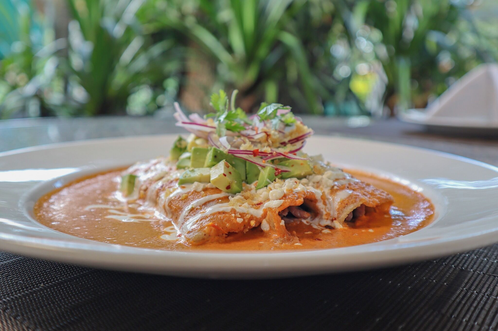 Um prato de enchiladas com molho cremoso, coberto com abacate, rabanete e queijo, servido em um prato branco.