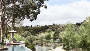 Piscina com espreguiçadeiras, um caminho e um lago rodeado por árvores.