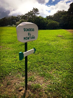 Caminhada