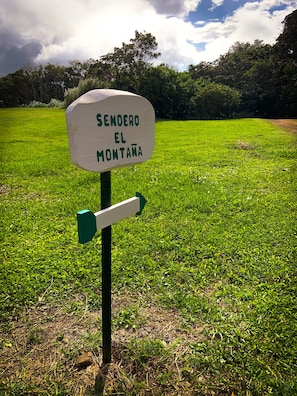 Caminhada