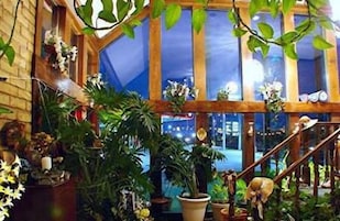 Quarto com escada de madeira, janelas amplas e diversos vasos de plantas.