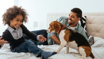 Animais permitidos
