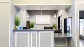 Uma cozinha com ilha central, iluminação pendente e plantas em vasos.