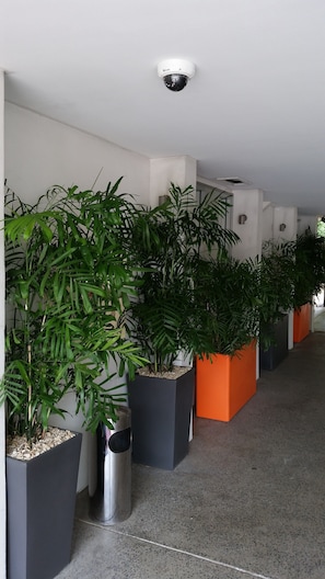 Um corredor com plantas em vasos, uma câmera de segurança e uma lixeira.