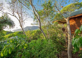 Uma cabana de madeira com varanda coberta, rodeada por vegetação exuberante e montanhas ao fundo.