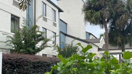 Pormenores do exterior