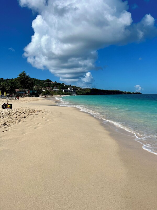 Allamanda Beach Hotel - Grenada