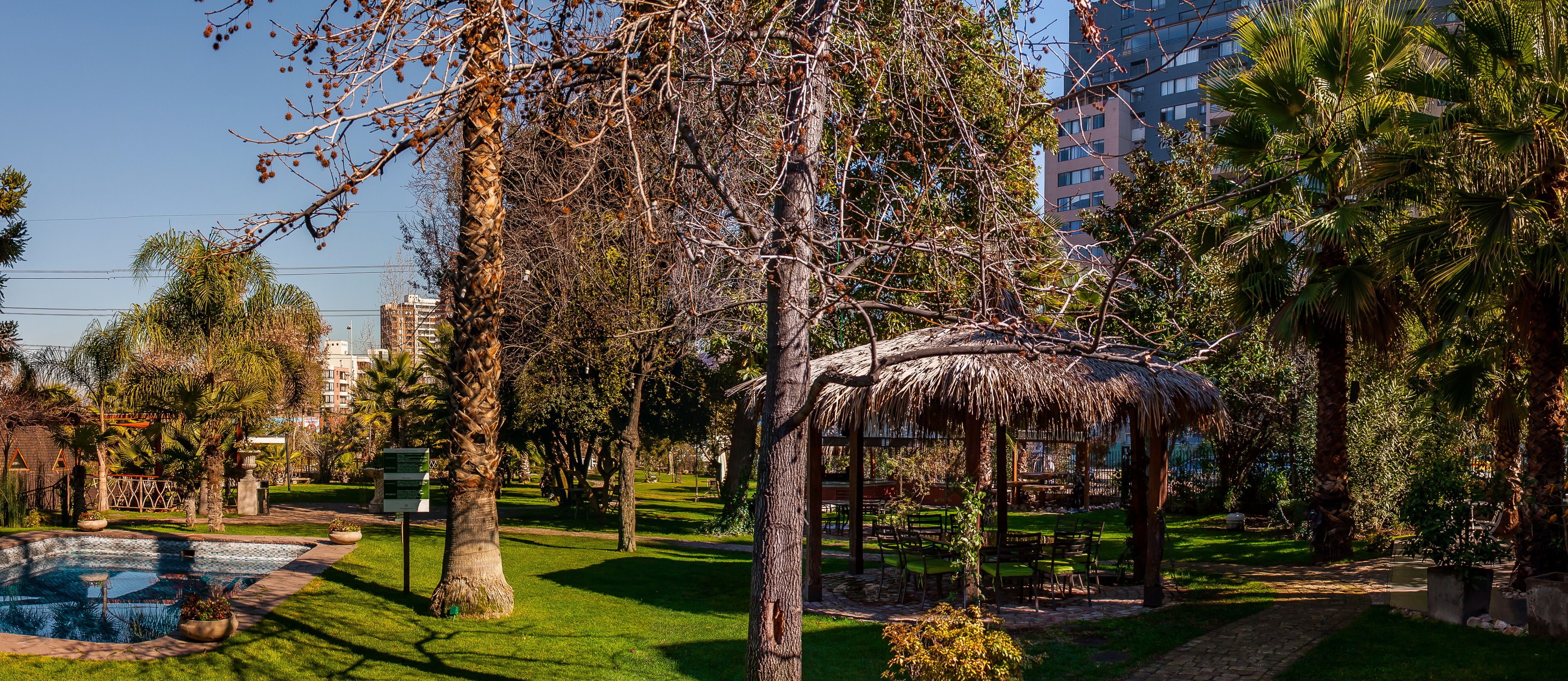 Um parque com um coreto de colmo, piscina e palmeiras.