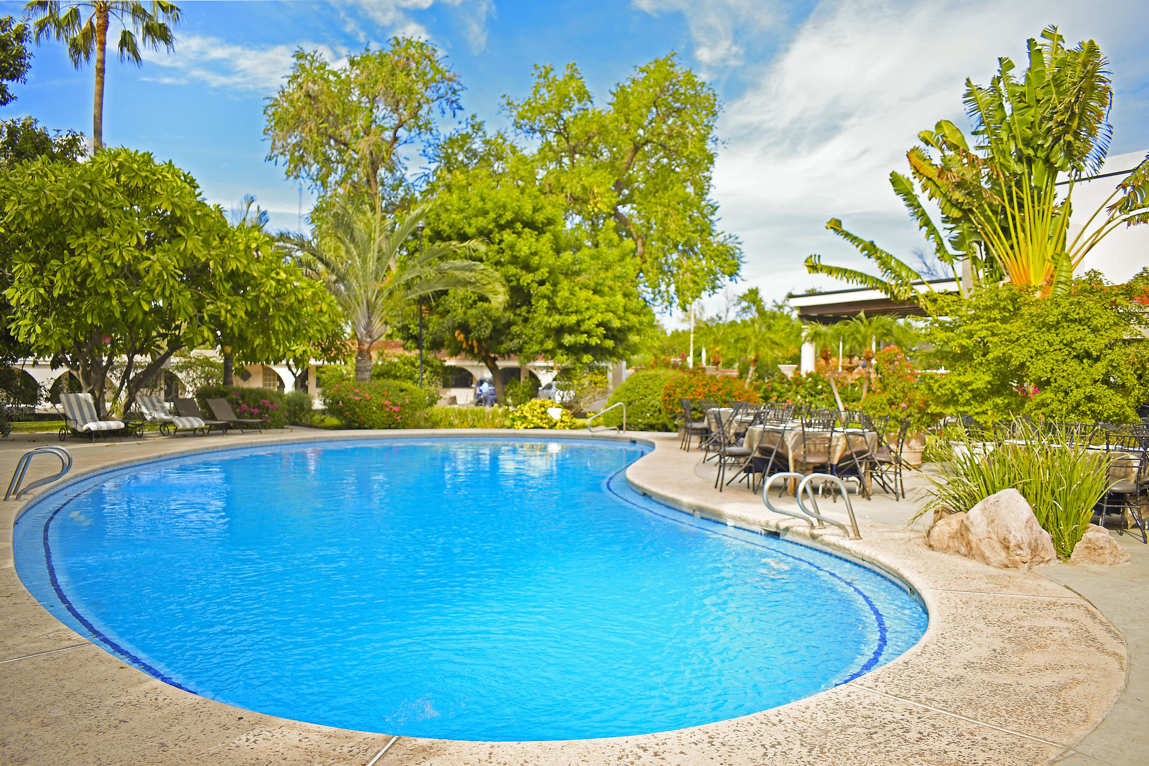 Uma piscina com espreguiçadeiras e uma palmeira.