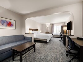 Quarto de hotel com cama, escrivaninha, cadeira, sofá e televisão.