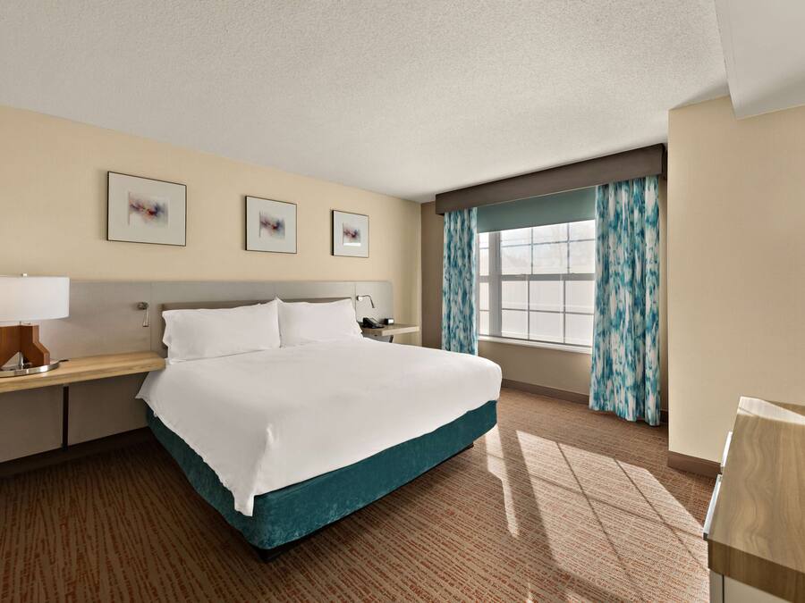 Quarto de hotel com uma cama grande, uma escrivaninha com luminária, uma televisão e uma janela com cortinas.