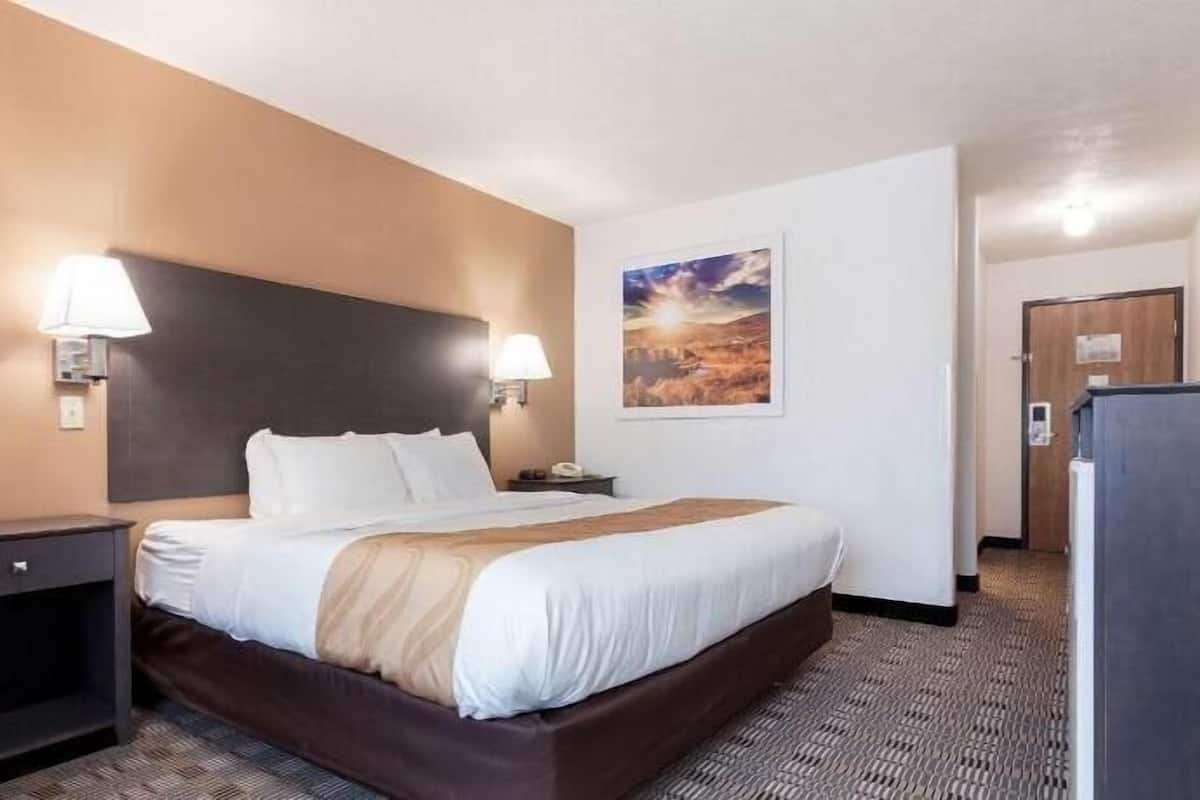 Quarto de hotel com cama, abajures, mesa de cabeceira, escrivaninha, cadeira e um quadro na parede.
