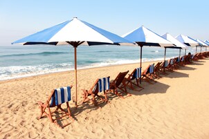 Perto da praia, espreguiçadeiras, guarda-sóis de praia 