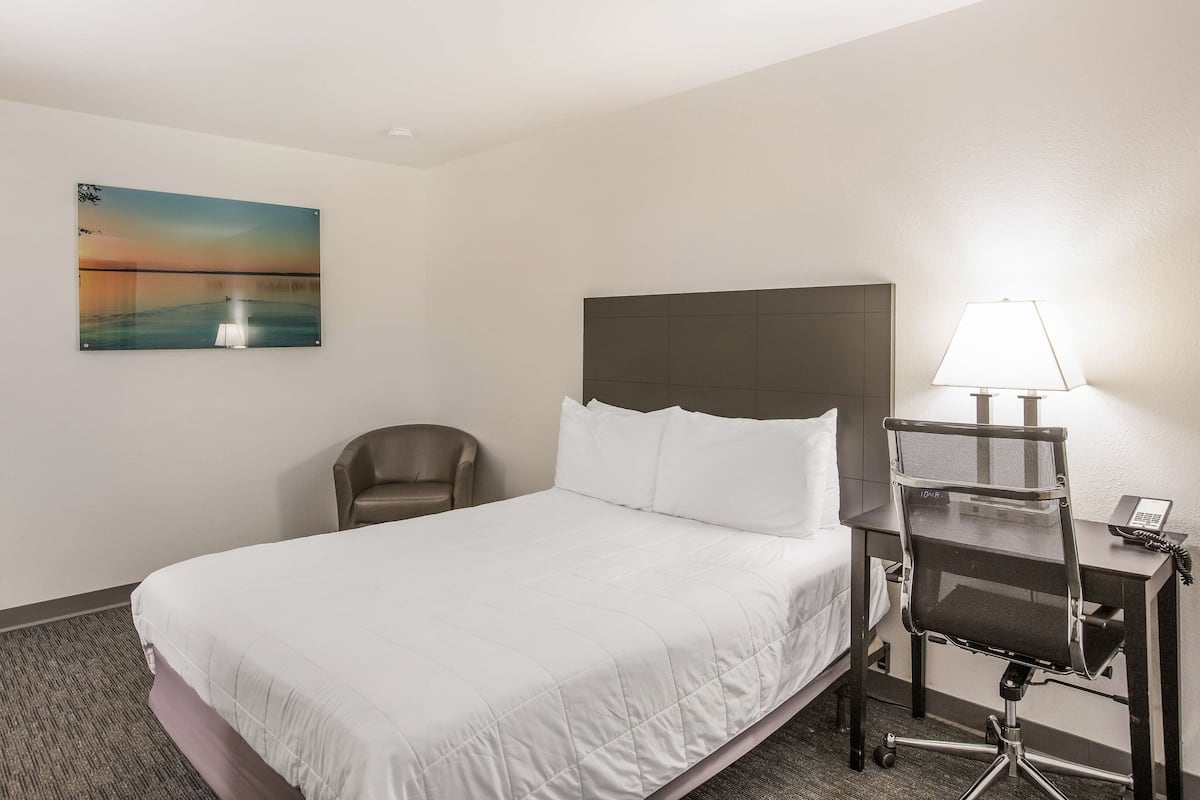 Quarto de hotel com uma cama grande, uma escrivaninha com abajur, uma cadeira e um quadro na parede.