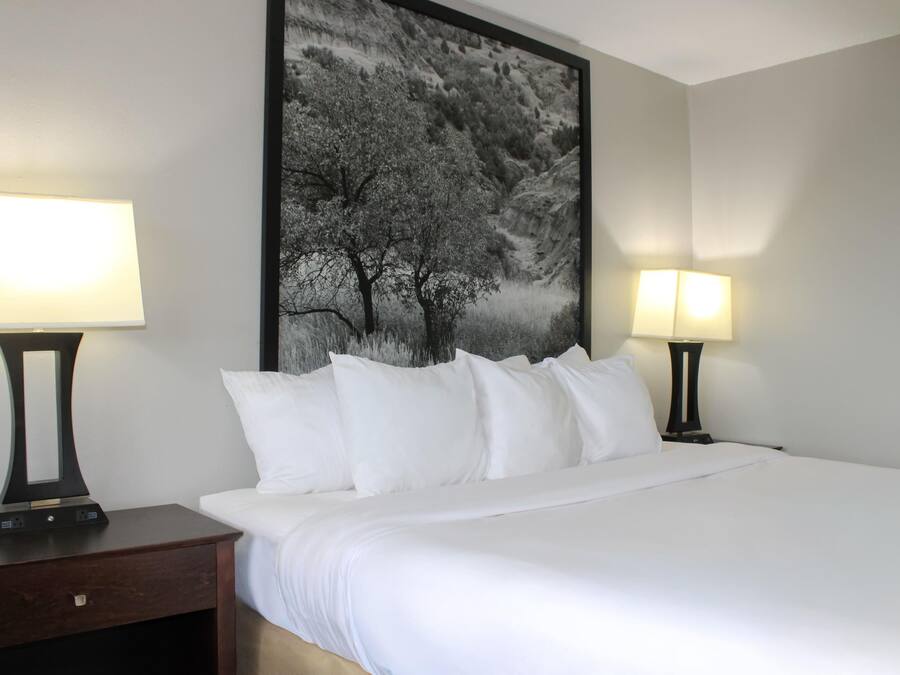 Quarto, 1 cama Queen, para não fumantes | Escrivaninha, ferros/tábuas de passar roupa, berços grátis