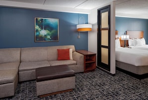 TV de tela plana 42 polegadas com canais de TV premium, TV, livros