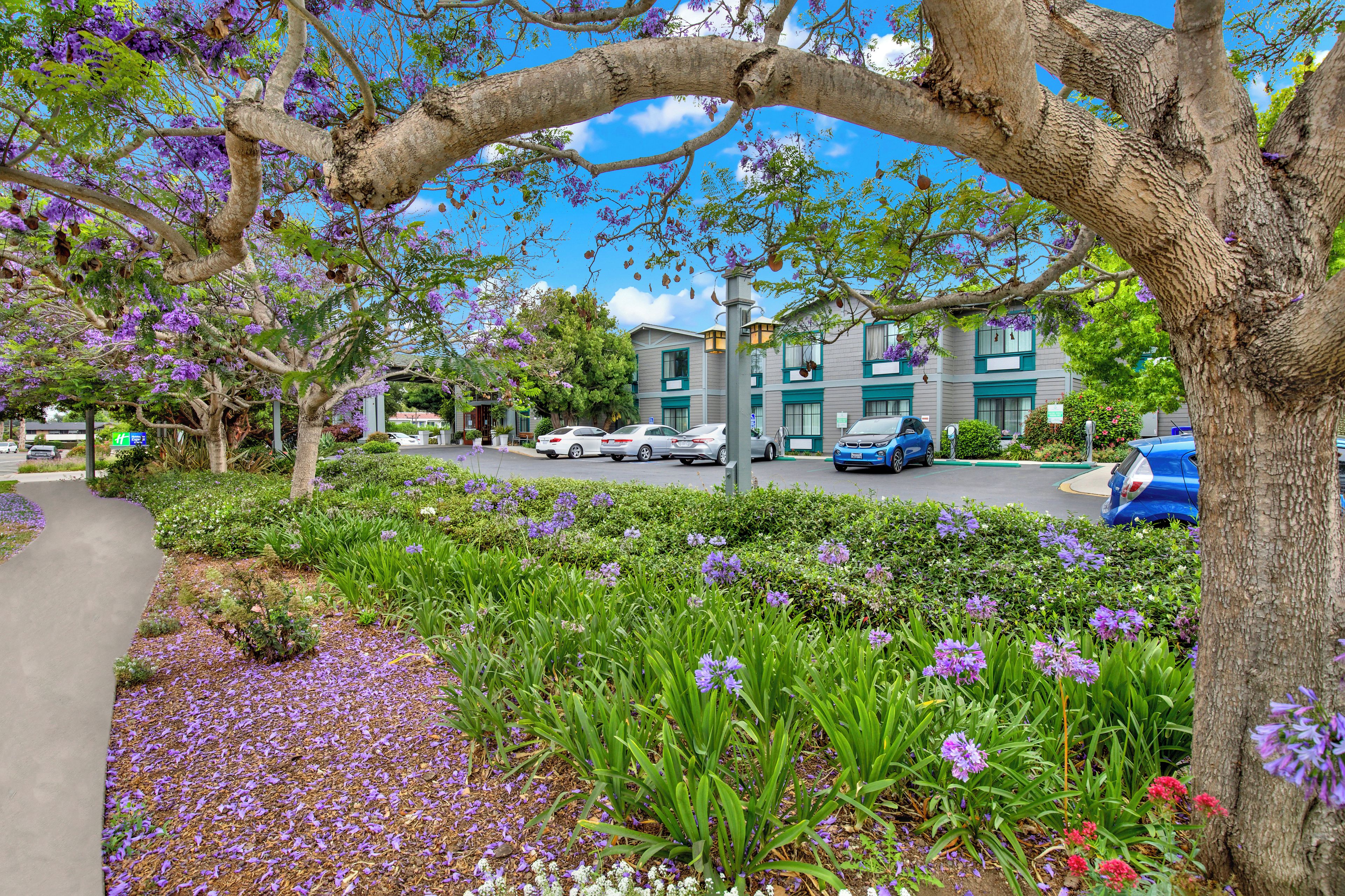 Hotel com estacionamento, caminho para pedestres e jardim com flores roxas.