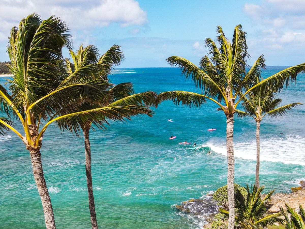 Turtle Bay Resort Reviews, Deals & Photos 2023 - Expedia