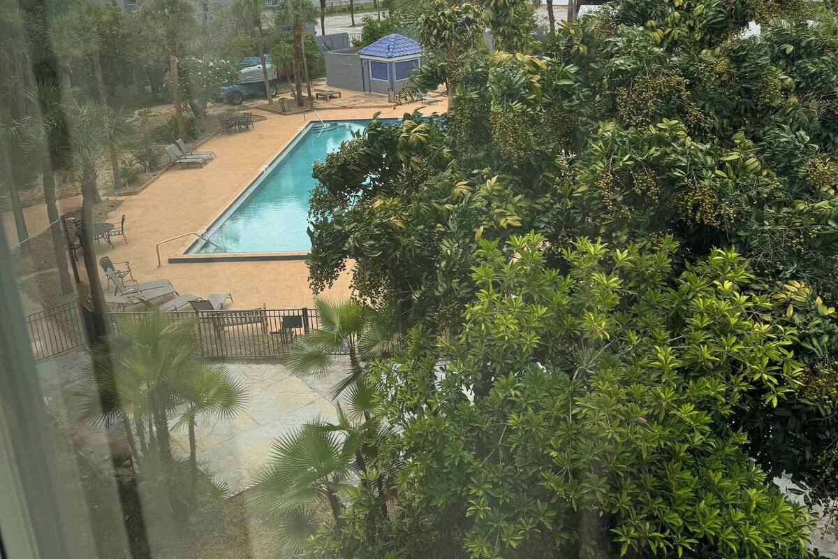 Área de piscina com espreguiçadeiras e um pequeno edifício, cercada por vegetação e prédios modernos ao fundo.