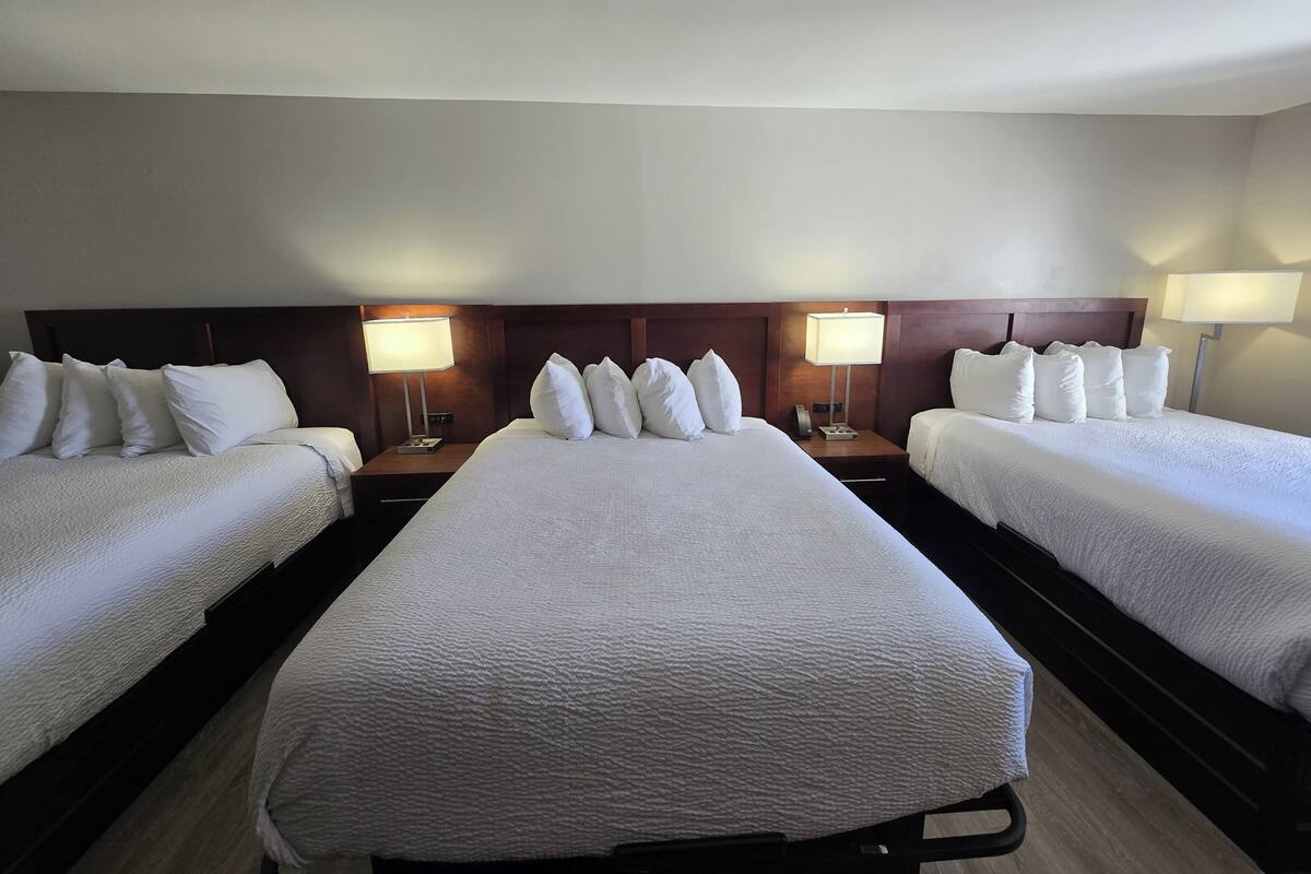 Quarto de hotel com duas camas, cada uma com roupa de cama branca e cabeceira de madeira. Há luminárias de cabeceira e uma mesinha de cabeceira com um telefone em cada cama.