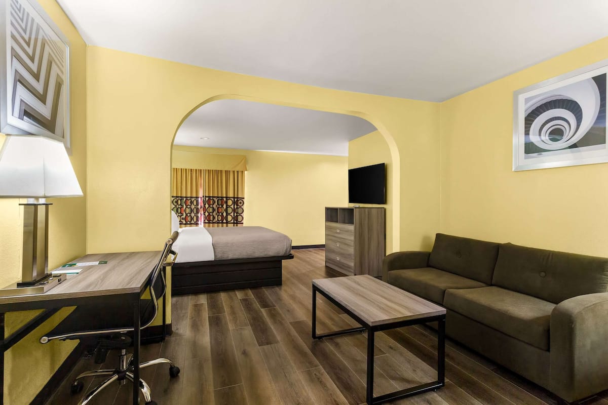Quarto de hotel com cama, escrivaninha, cadeira, sofá, televisão e um objeto decorativo na parede.