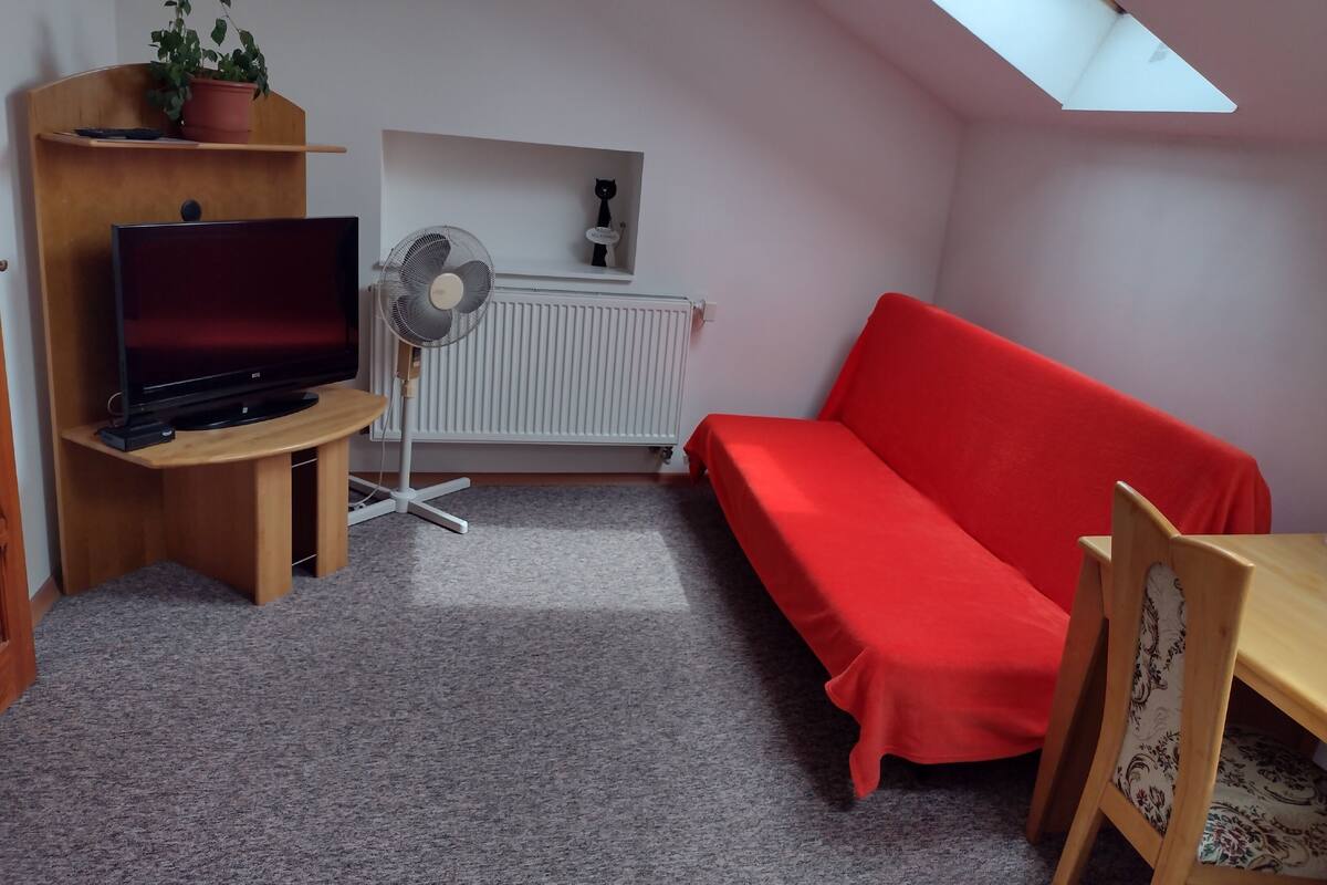 Um quarto pequeno e acolhedor com um sofá vermelho, uma televisão sobre um suporte de madeira, um radiador branco, um ventilador de teto e uma planta em vaso.