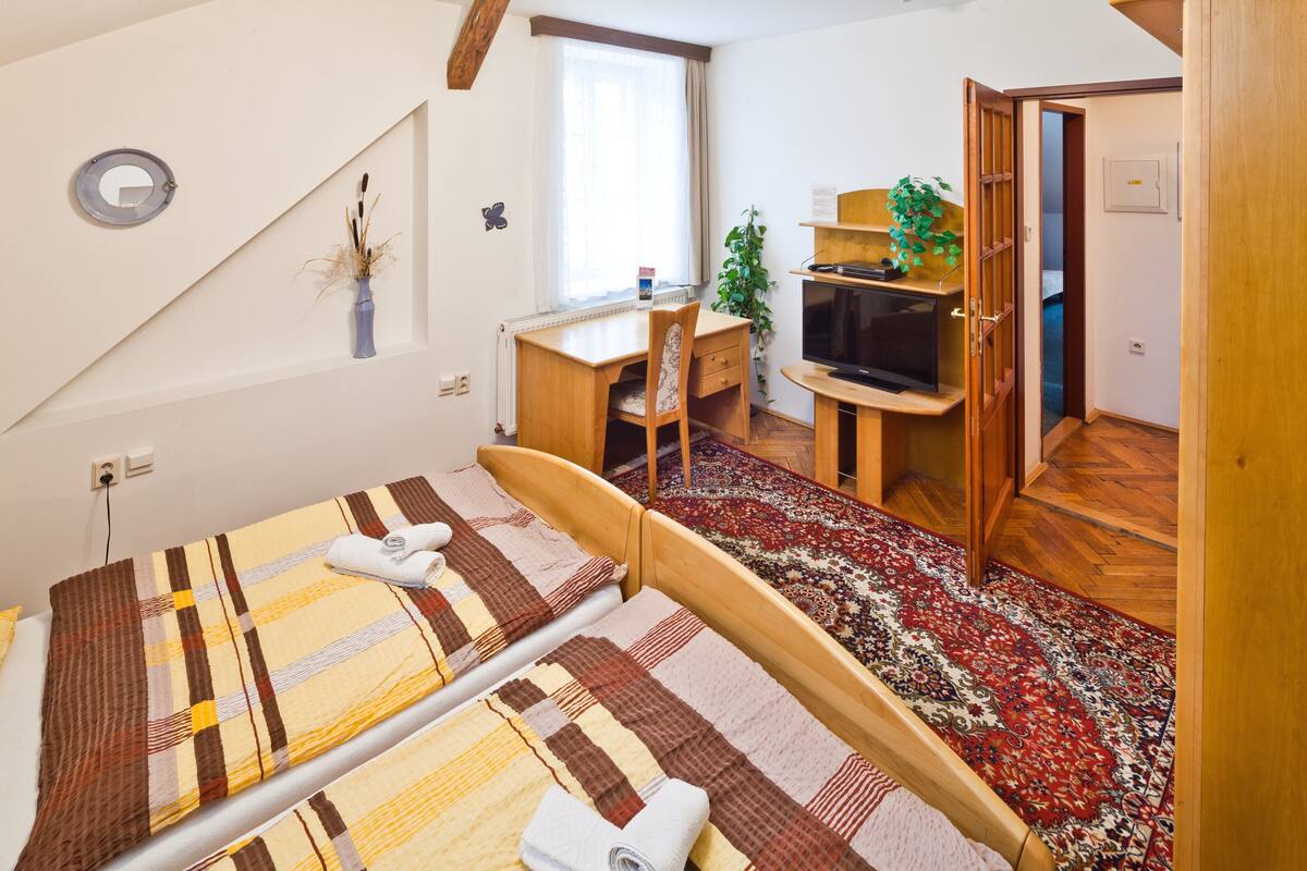 Quarto com duas camas, uma escrivaninha, uma cadeira, televisão e uma planta.