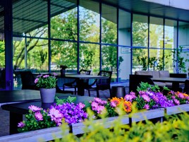 Pequenos-almoços, almoços, jantares servidos, com vista para o jardim 