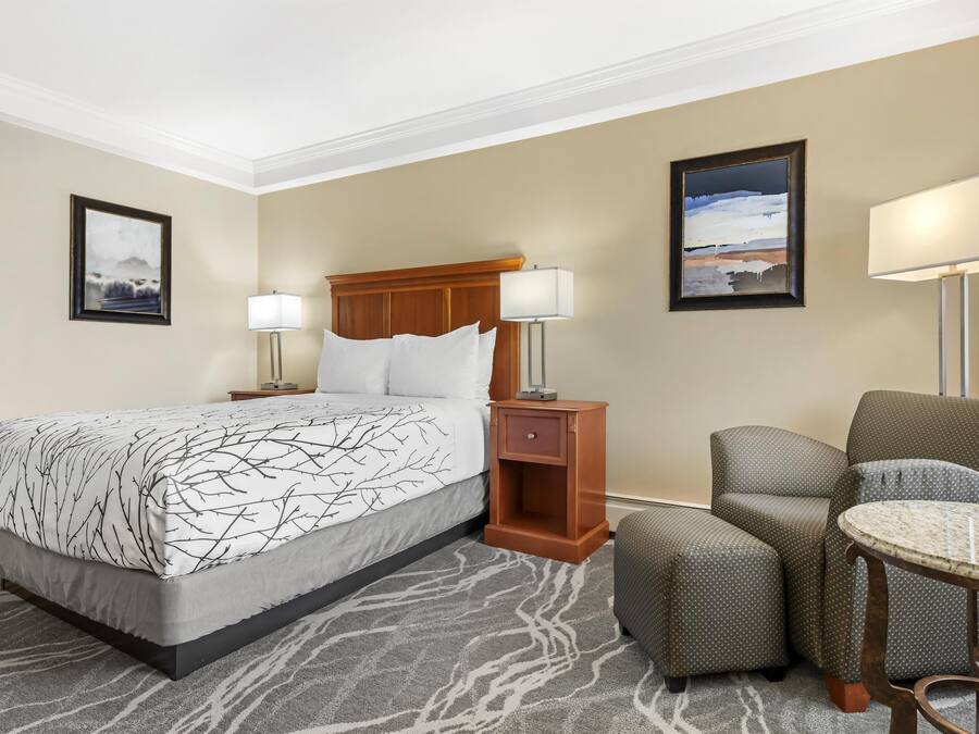 Quarto Standard, 1 cama queen-size, não fumadores, frigorífico e micro-ondas | Camas de colchão pillowtop, cofre com capacidade para portátil