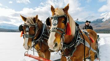 Dois cavalos com arreios puxando um trenó em uma paisagem nevada, com montanhas ao fundo.
