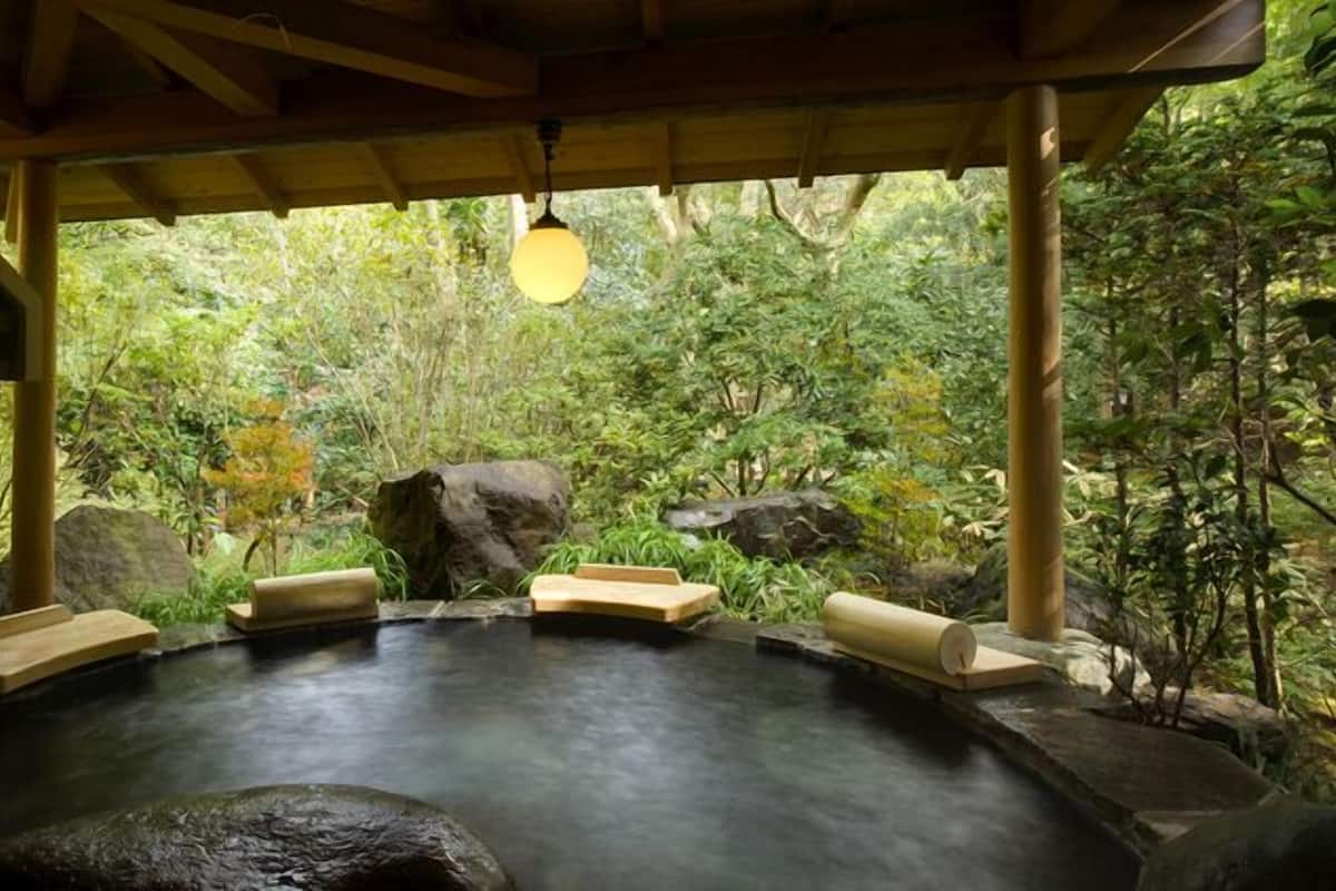 Área de águas termais com teto de madeira, assentos ao redor e vista para um jardim exuberante.