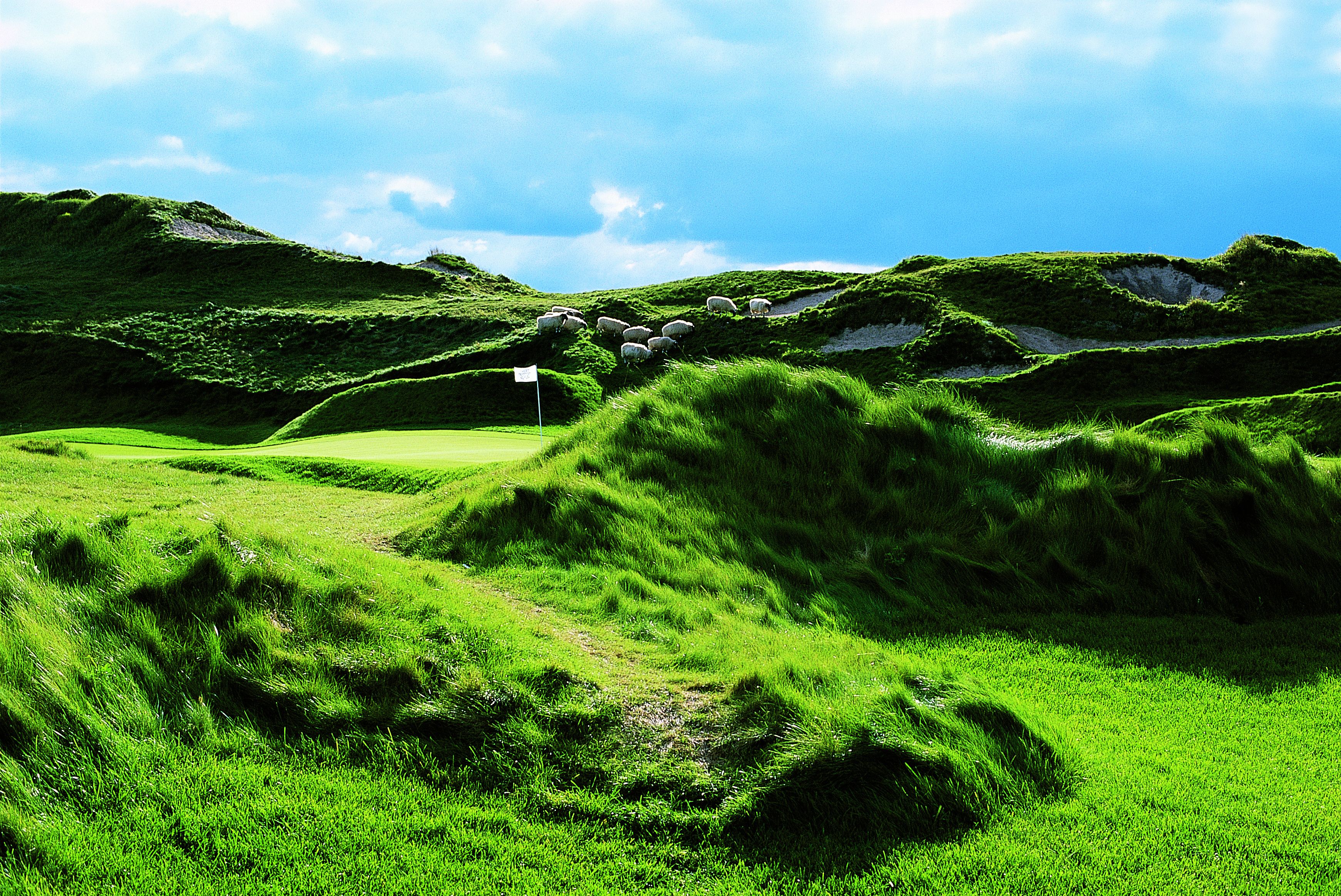 Um campo de golfe com colinas verdes ondulantes e uma bandeira marcando o buraco.