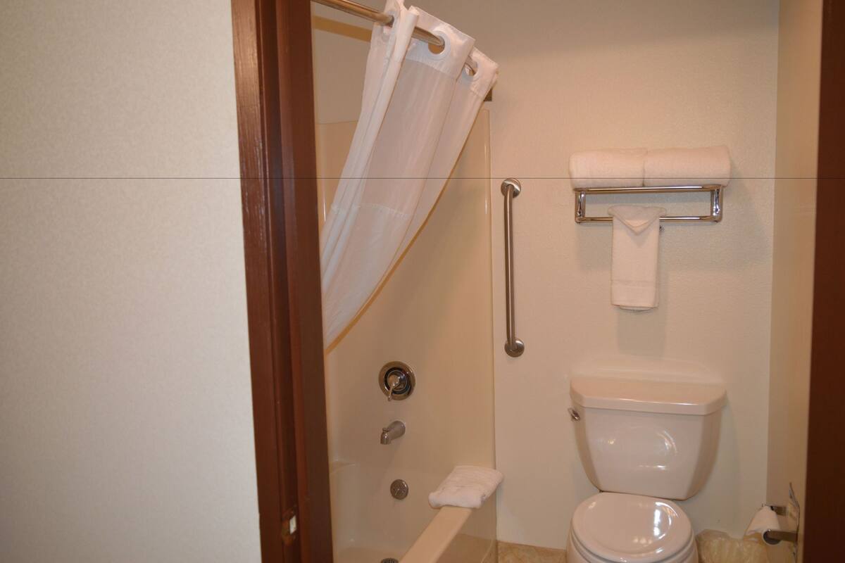 Casa de banho com chuveiro, sanita, barra de apoio e porta-toalhas.