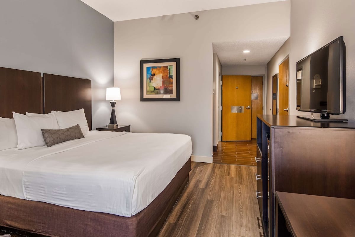 Lençóis de algodão egípcio, roupa de alta qualidade, edredões de penas