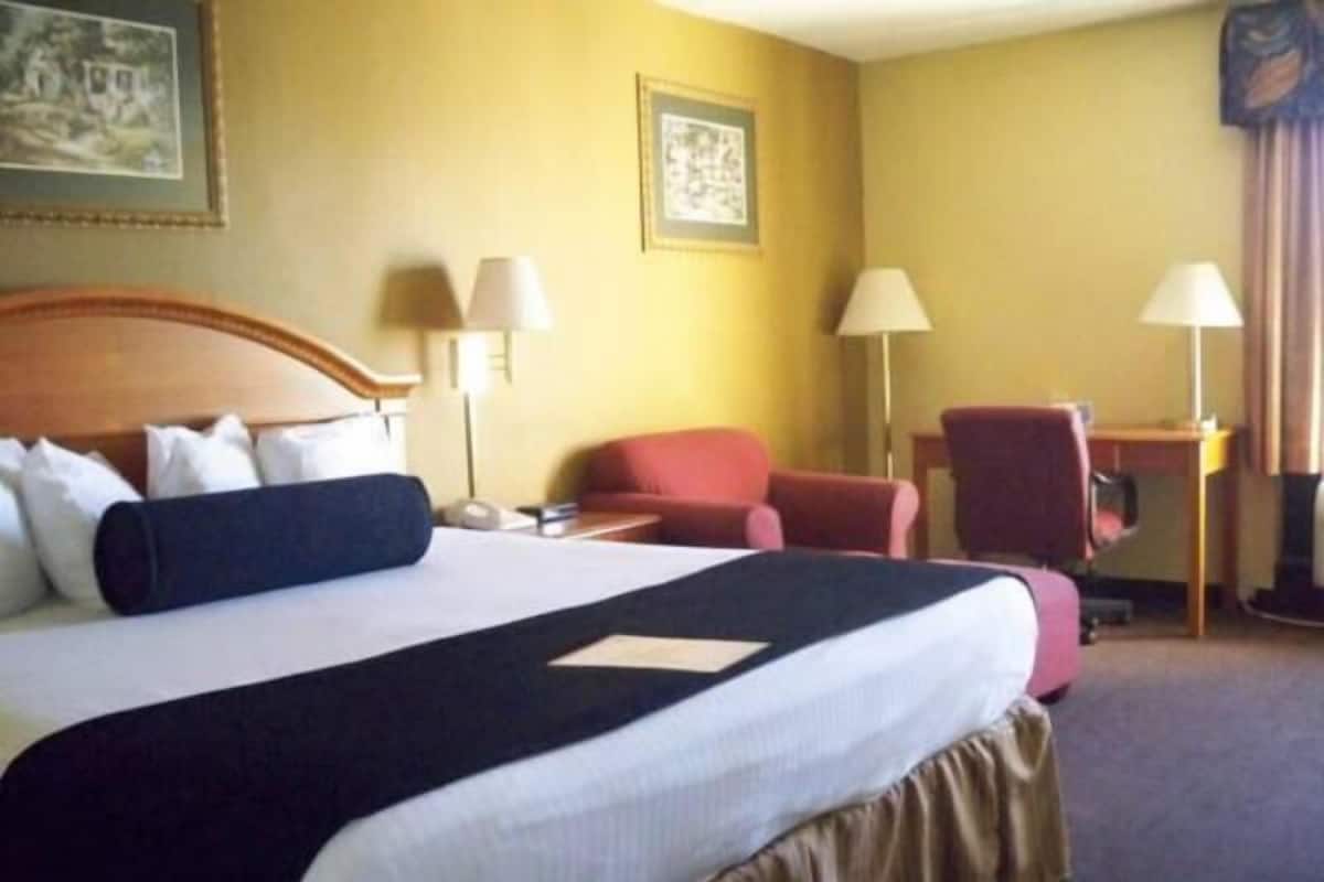 Lençóis de algodão egípcio, roupa de alta qualidade, edredões de penas