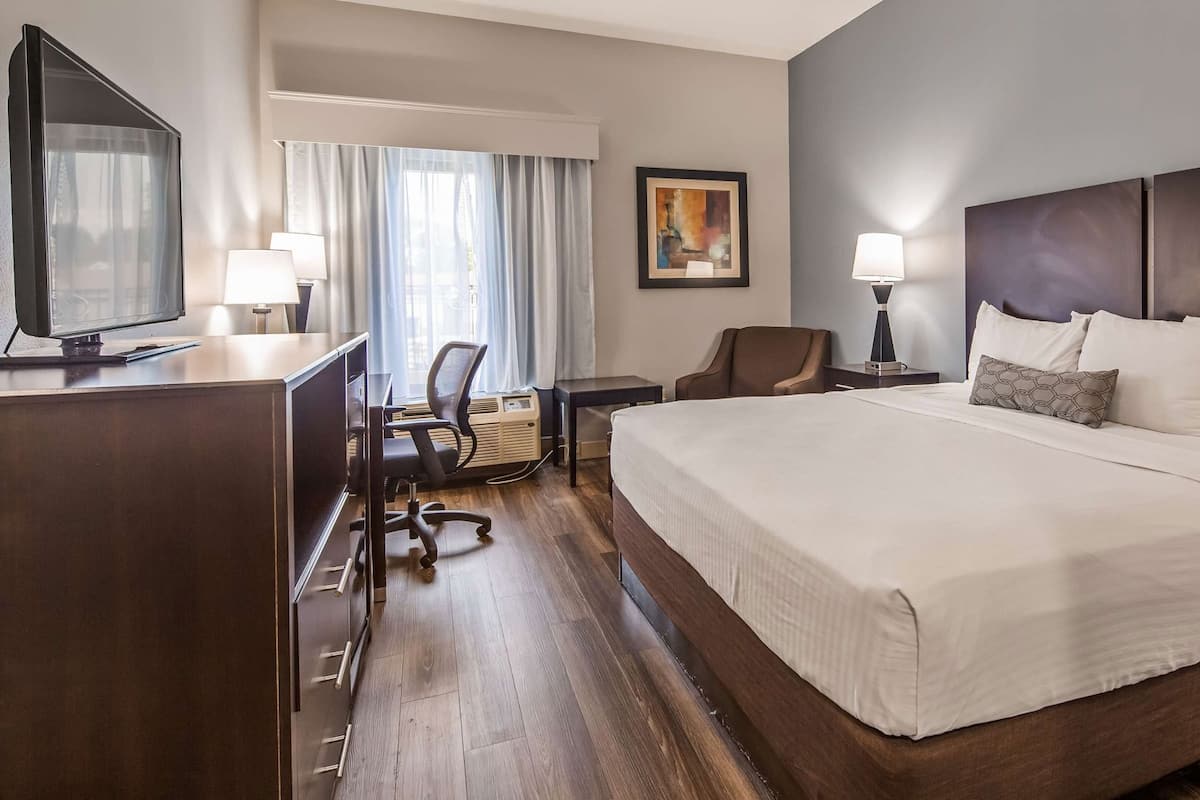 Lençóis de algodão egípcio, roupa de alta qualidade, edredões de penas