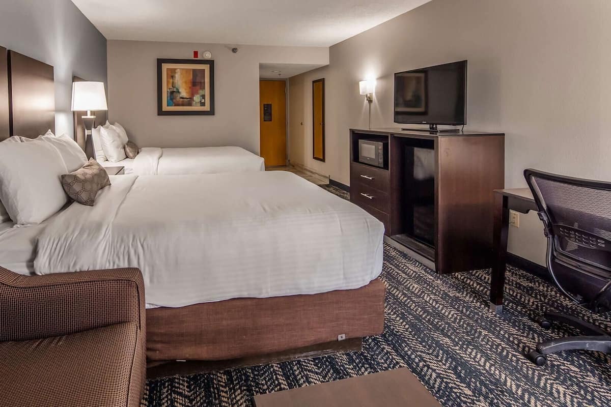 Lençóis de algodão egípcio, roupa de alta qualidade, edredões de penas