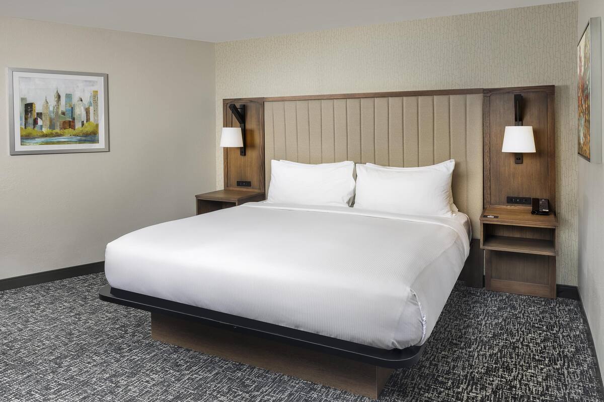 Roupas de cama de algodão egípcio, roupas de cama premium