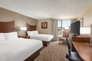 Roupas de cama de algodão egípcio, roupas de cama premium