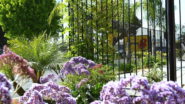 Um jardim com diversas plantas e uma cerca de metal.