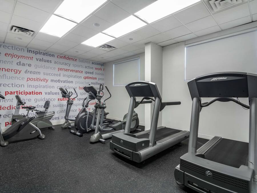 Uma academia com esteiras, elípticos e bicicletas ergométricas.
