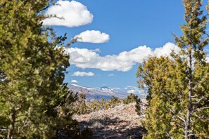 Vista para a montanha