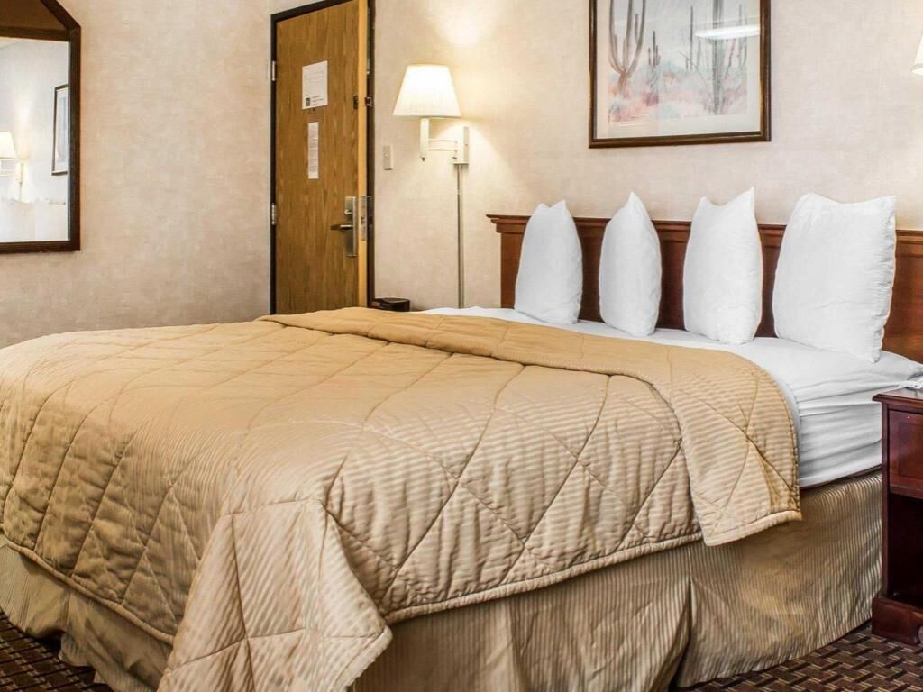 Roupa de alta qualidade, camas de colchão pillowtop 