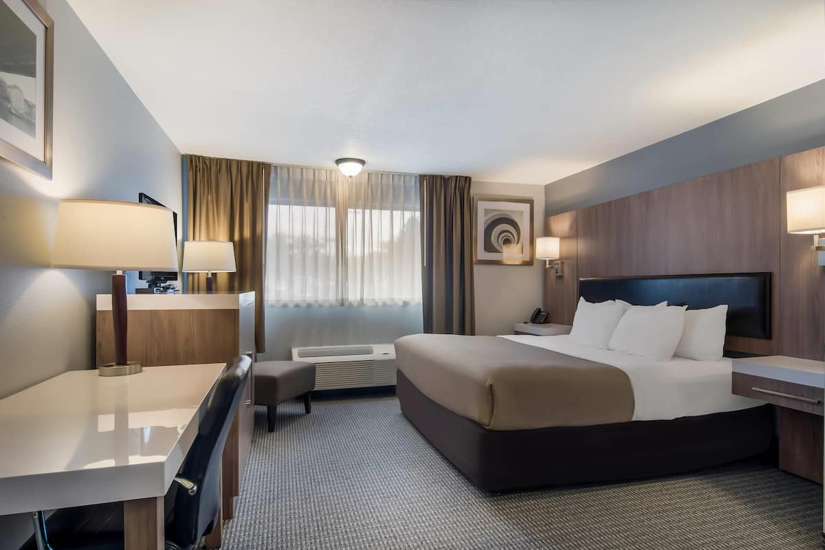 Suite, 1 cama king-size, não fumadores | Roupa de alta qualidade, secretária, cortinas/cortinados opacos