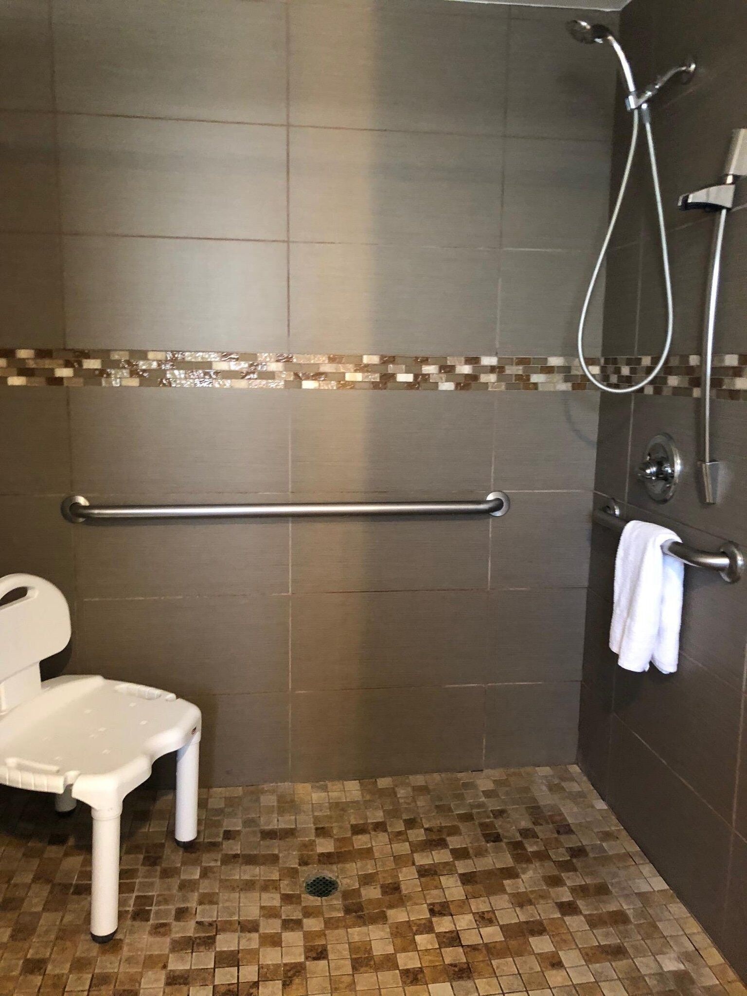 Casa de banho com chuveiro, sanita e barra de apoio.