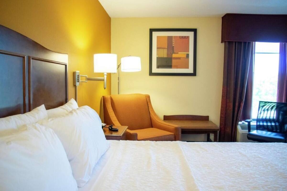 Roupas de cama de algodão egípcio, roupas de cama premium