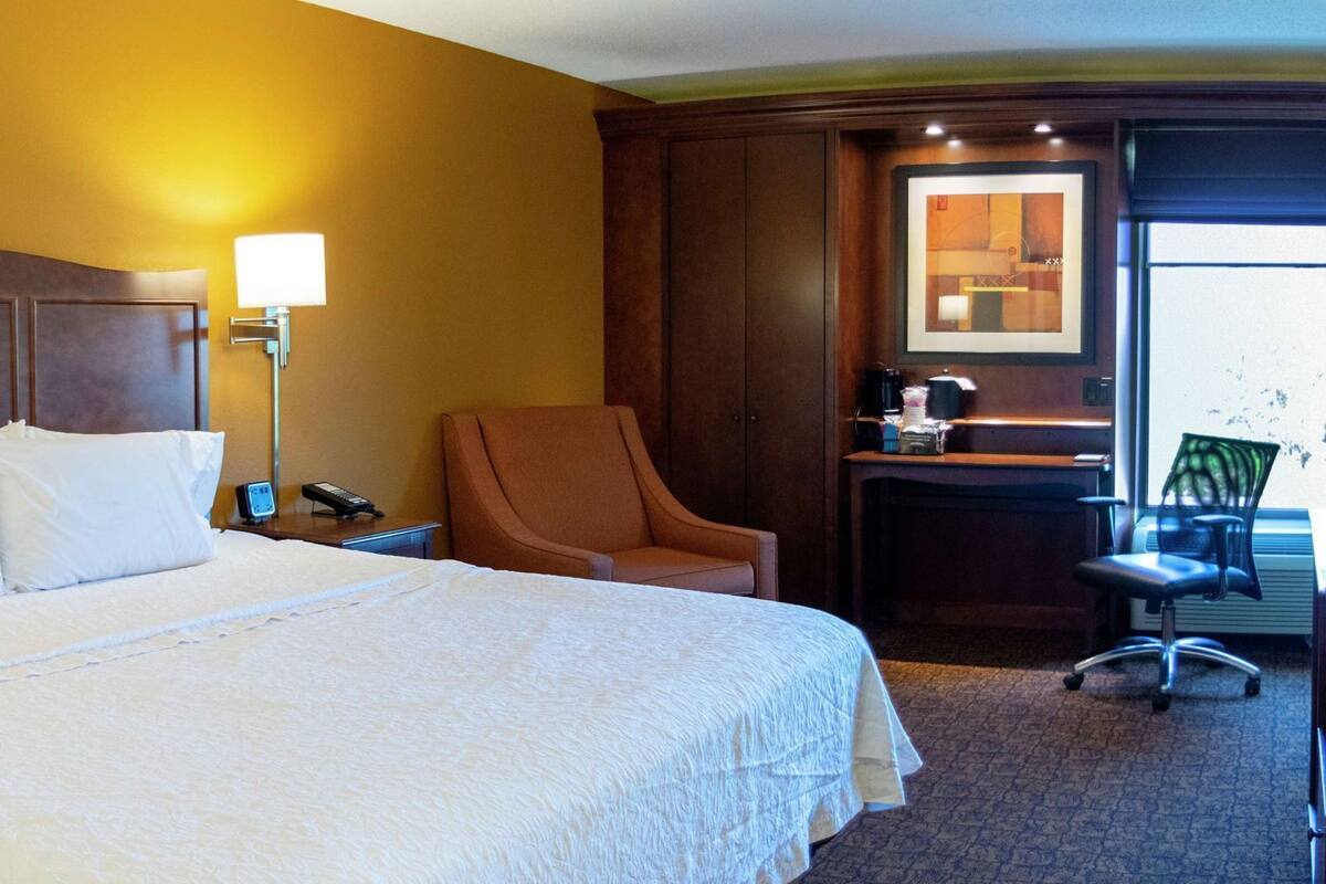 Roupas de cama de algodão egípcio, roupas de cama premium