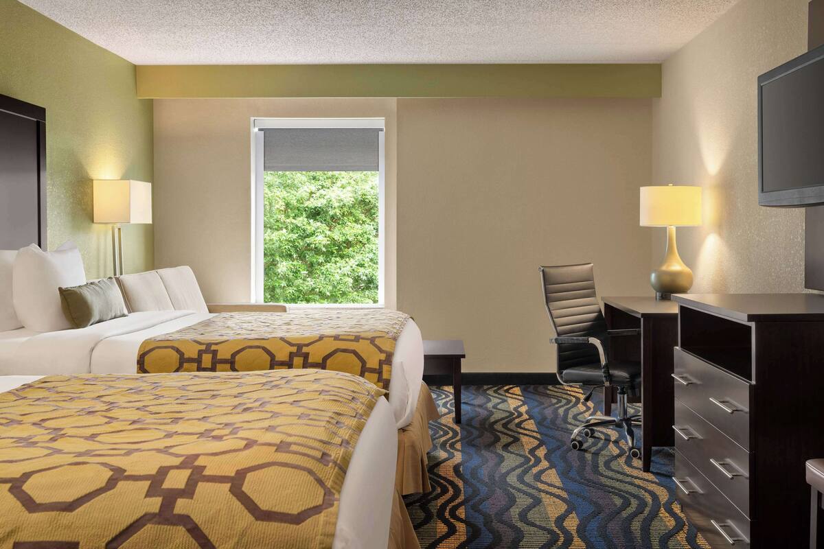 Quarto de hotel com duas camas, uma escrivaninha, uma cadeira, televisão e janela com vista para o verde.