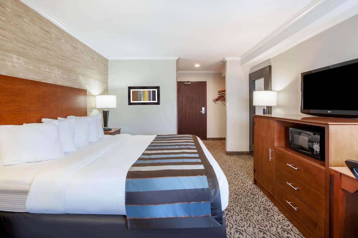 Quarto de hotel com uma cama grande, televisão, micro-ondas e guarda-roupa.